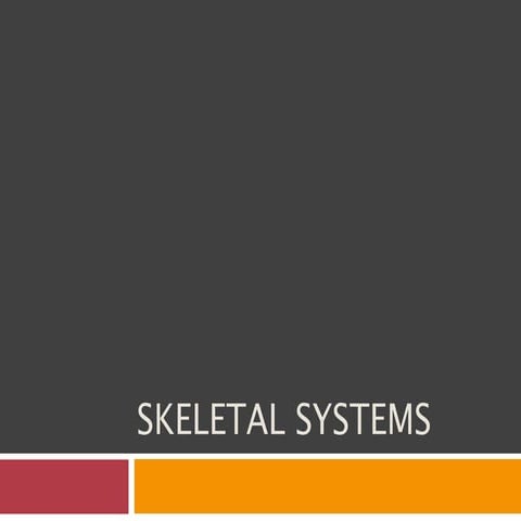 Skeletal System Introduction | KEY