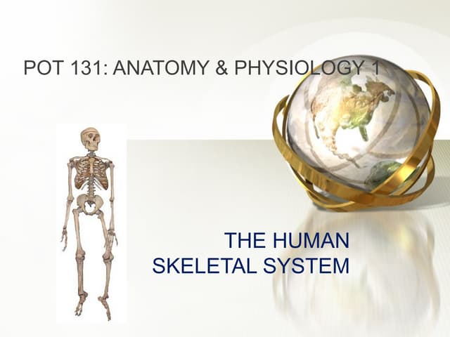 Bones | PPTX