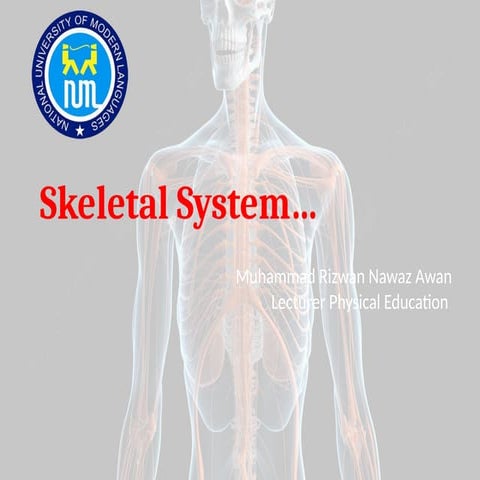 Skeletal system with easy basic concepts | PPTX
