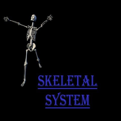 Skeletal System Notes | PPT