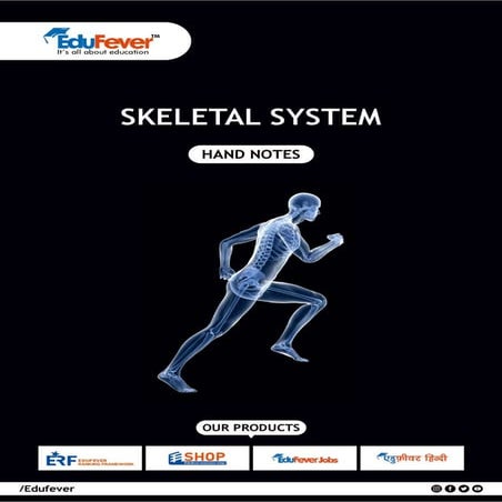 Skeletal system - Biology Handwritten Notes | PDF