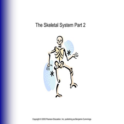 Skeletal system part 3 class | PPTX