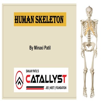 part 1 HUMAN skeletal system slides important for NEET | PDF