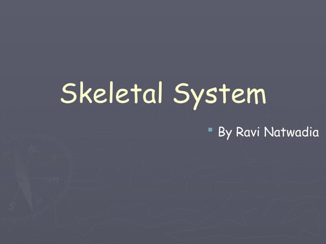 Skeletal system powerpoint | PPT