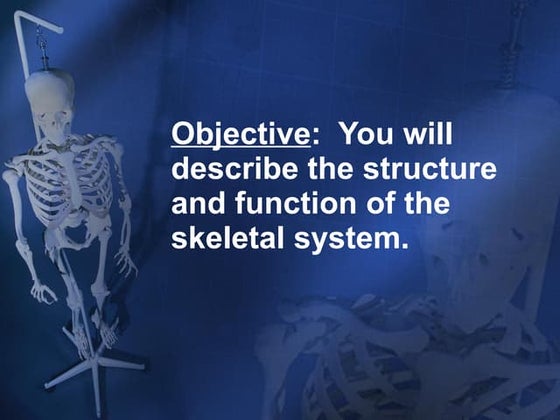 SKELETAL SYSTEM PP for Kids | PPT | Bone and Joint Conditions ...