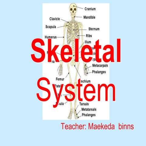 Skeletal_System_ppt.ppt