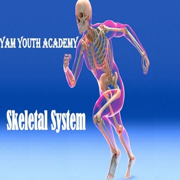 Comprehensive Overview of the Human Musculoskeletal System and Skeletal ...
