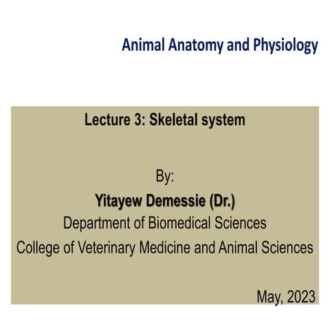 Animal skeletal system | PDF