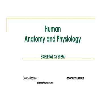 SKELETAL SYSTEM PRESENTATION.pptx by Daniel Kaiwe | PPTX