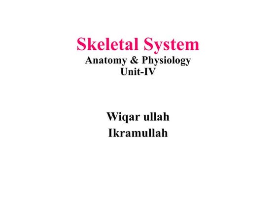 05.Skeletal system_full(1).ppt | Death, Injury, or Military Conflict ...