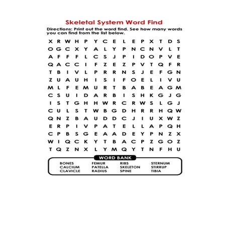 Skeletal system word find | DOC | Bone and Joint Conditions | Diseases ...
