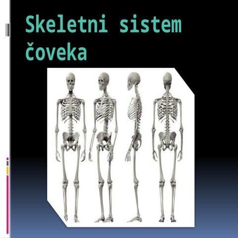 Skeletni sistem čovekaDragan Bjelic.pptx