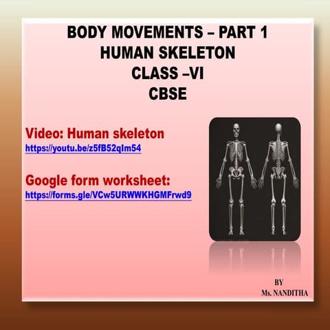 HUMAN SKELETON | PPTX