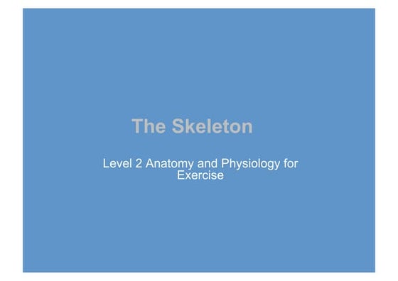 Skeletal System ---------- 6th grade.pptx