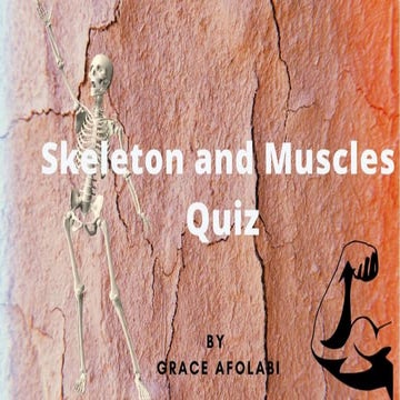 Skeleton and Muscles Quiz | PPTX