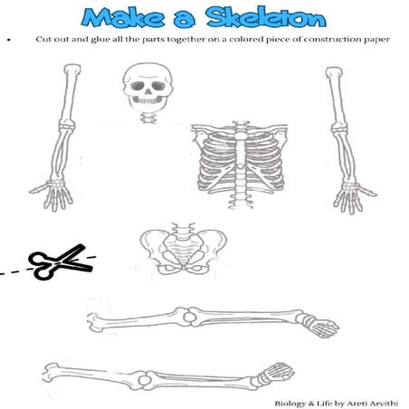 Skeleton Craft Printable. Label the parts of the skeleton.pdf