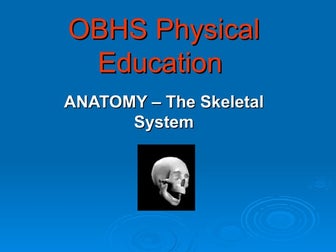 Human skeletal system | PPT