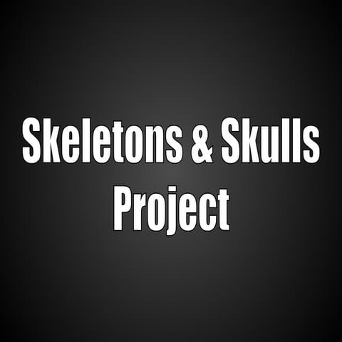 Skeleton & Skull project | PPT