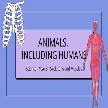 Skeletal system 6 | PPTX