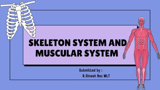The musculoskeletal system Grade 6 | PPTX