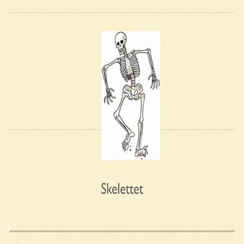 Skelettet. | PDF