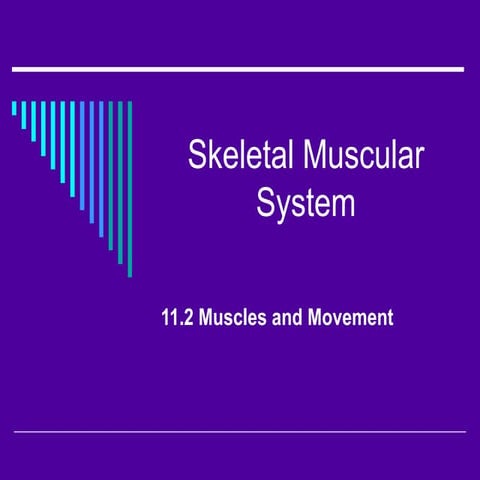 Skeletal system and muscular system of human body | PPT