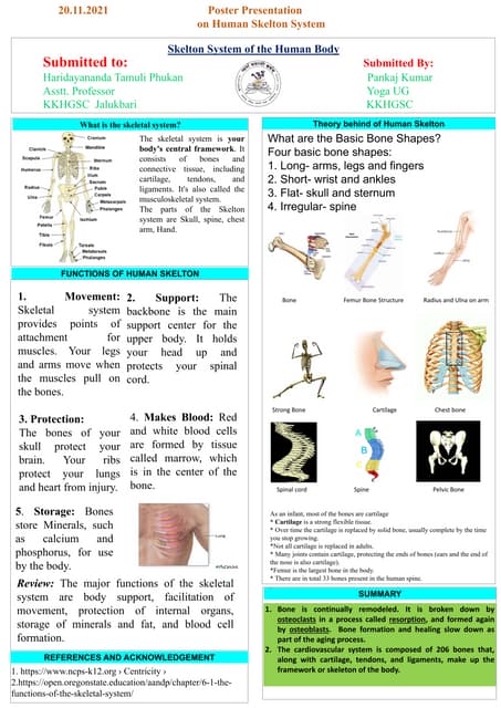 FUNCTIONS OF SKELETAL SYSTEM grade 4pptx | PPTX
