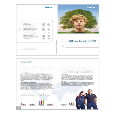 SKF In brief | PDF
