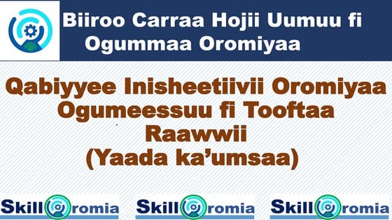 Hubannoo Dhabamsiisa Meeshalee MHM - Copy.pptx