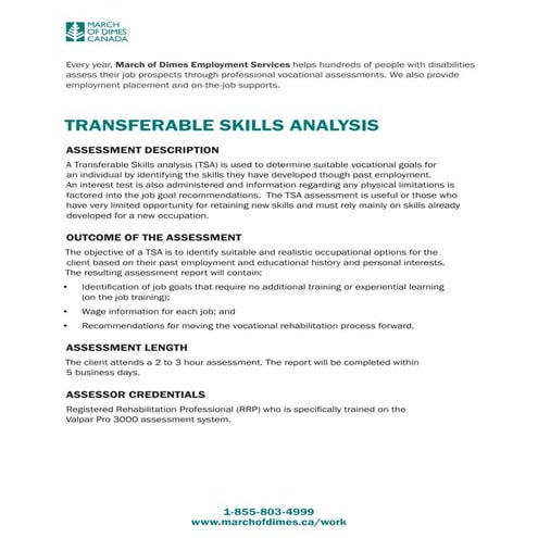 Skills assessment | PDF