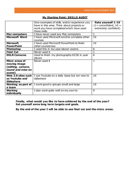Skill Audit | PDF