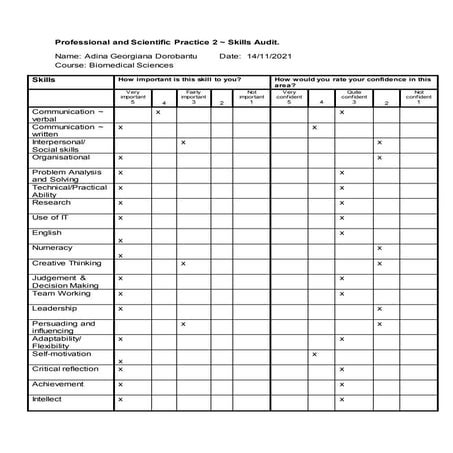 Skills audit.docx