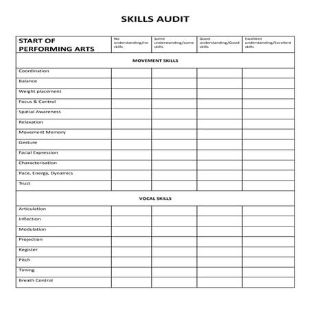 SKILLS AUDIT.docx.pdf