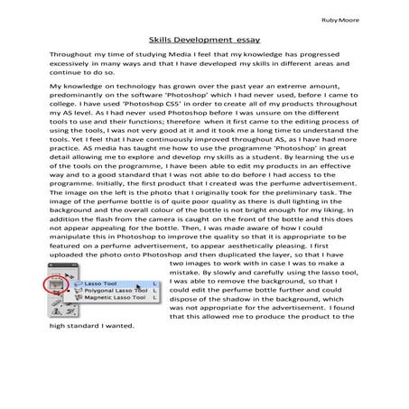 Skills development essay | DOCX | Photo Editing Software | Computer ...