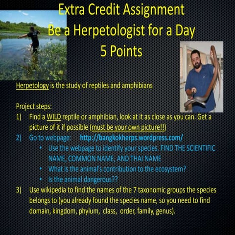 Skills Extra Credit Project (5 Points) | PPT