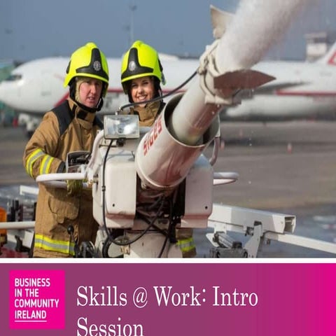 Skills@Work Introductory Session presentation - Sisk & St. Kevin's ...