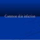 common Skin infections | PPT | Infectious Diseases | Diseases and ...