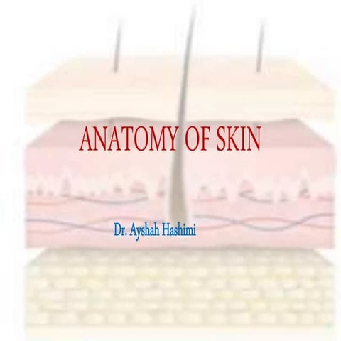 Understanding the Structure and Functions of the Skin in Human Physiolo ...