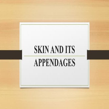 Our report in Skin-and-Its-Appendages.pptx