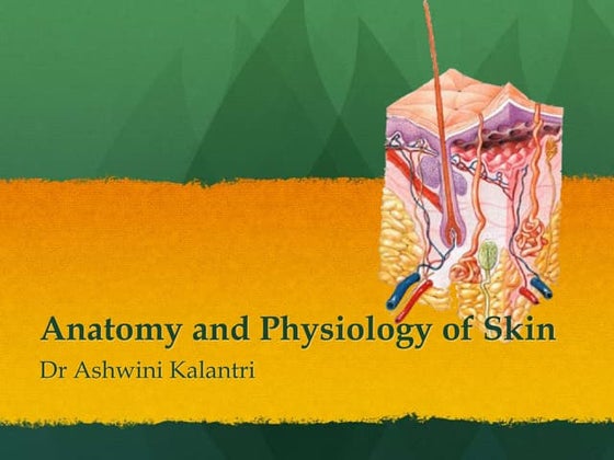 Skin physiology | PPT