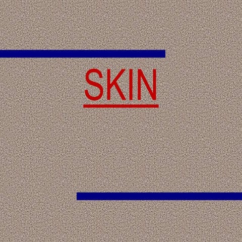 Skin | PPT