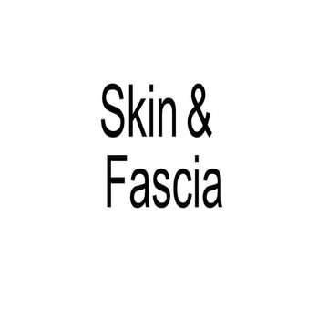 Hemostasis seminar pdf for college and university seminars | PPTX