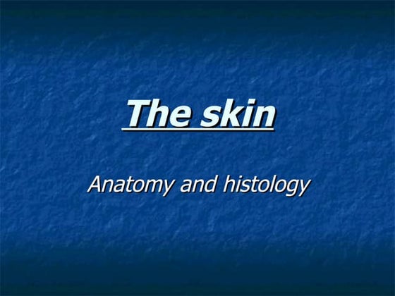 Skin anatomy | PPT