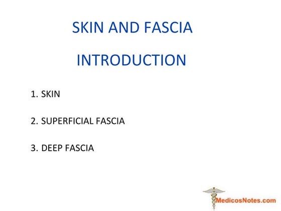 Superficial & deep fascia | PPTX | Skin and Dermatology | Diseases and Conditions