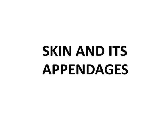 Skin anatomy and physiology | PPT