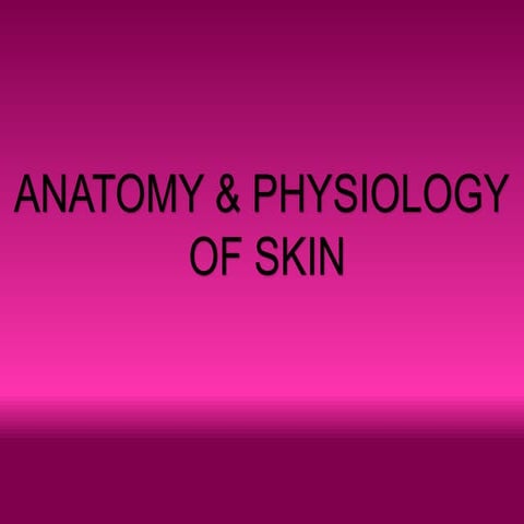 ANATOMY OF THE SKIN | PPTX | Skin and Dermatology | Diseases and Conditions