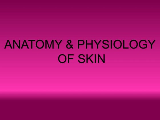 Skin anatomy | PPT