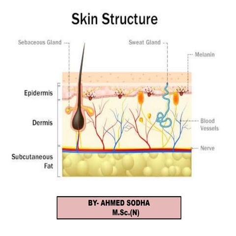 Skin disorders | PPTX
