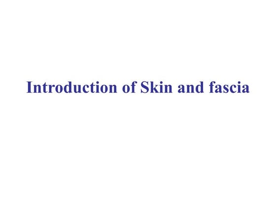 Superficial & deep fascia | PPTX | Skin and Dermatology | Diseases and ...