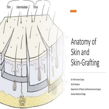 Brief Anatomy of Skin and Skin Grafting | PPTX